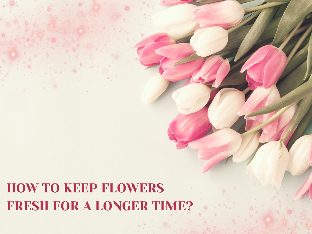 Top 12 Expert Tips to Keep Flowers Fresh Longer | M.Fiorista – mfiorista